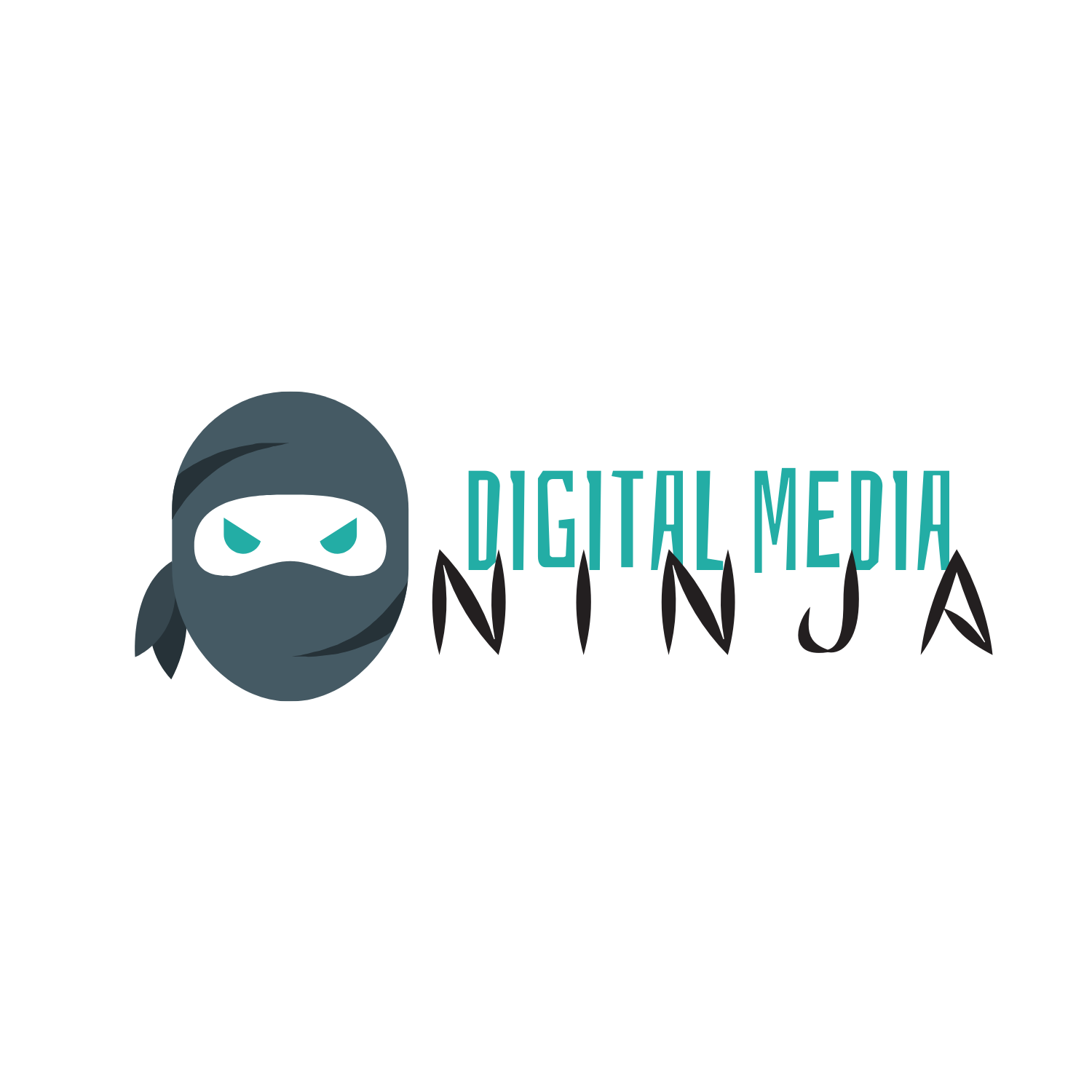 Digital Media Ninja | #1 Dallas SEO Company | DFW Digital Marketing Agency